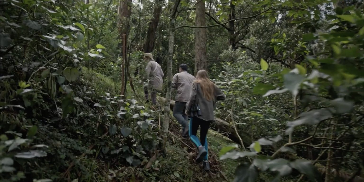 Greenpeace y Natalia Oreiro presentan “Animales en peligro”, la serie que inspira una nueva ola ...